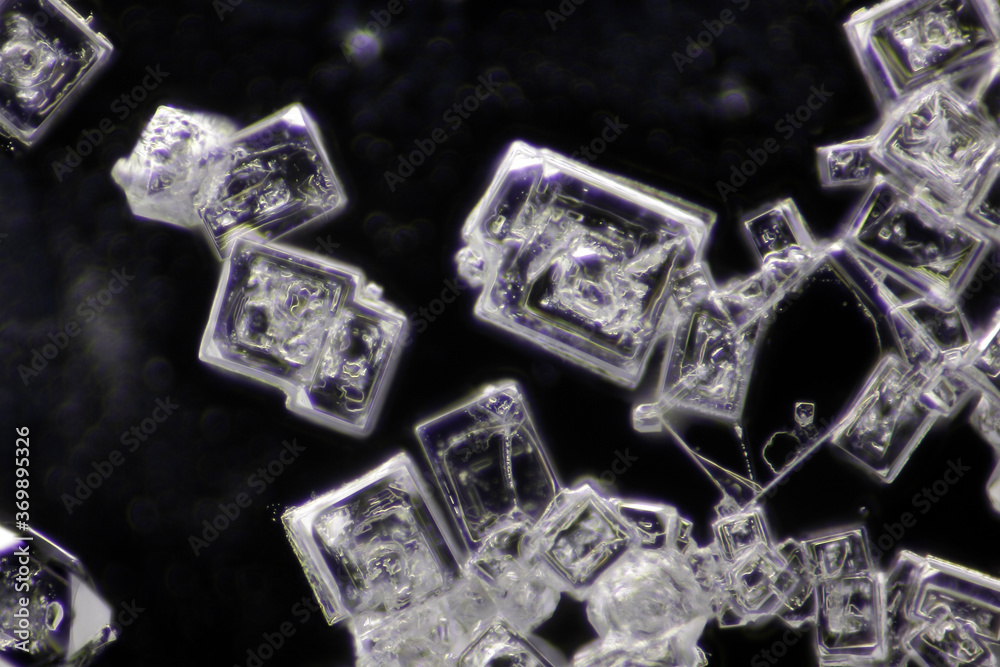 Microscopic view of sodium chloride crystals. Darkfield illumination ...