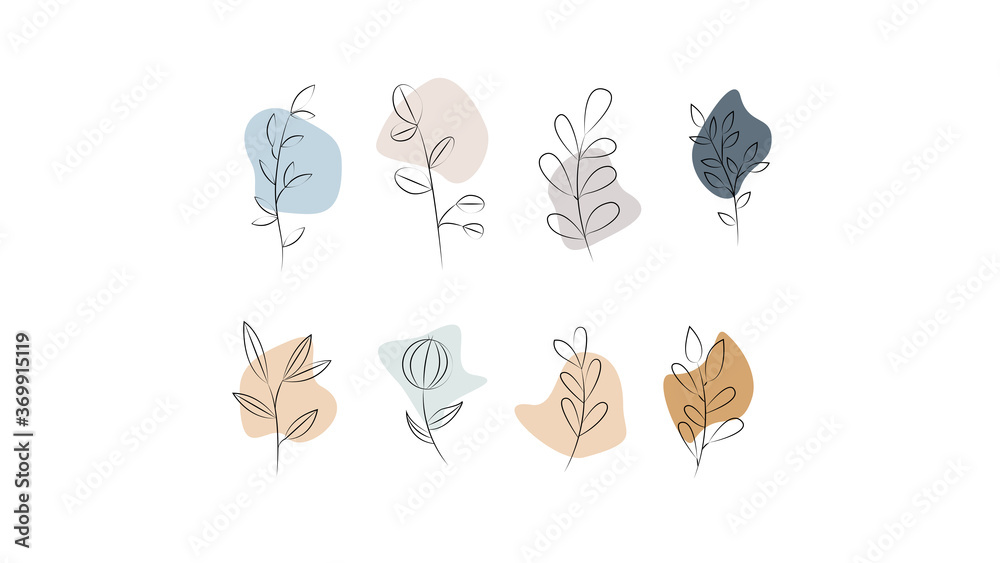 minimal line art flowers for beauty sphere, design for instagram ...