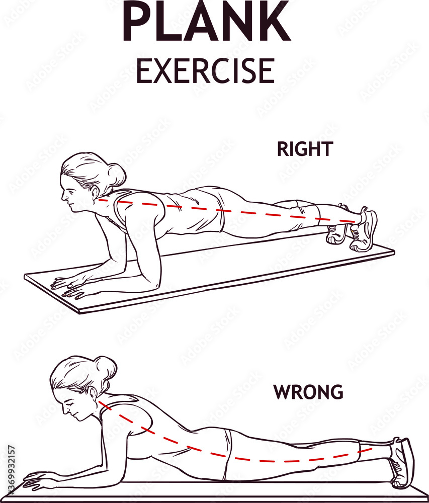 Plank Exercise Diagram