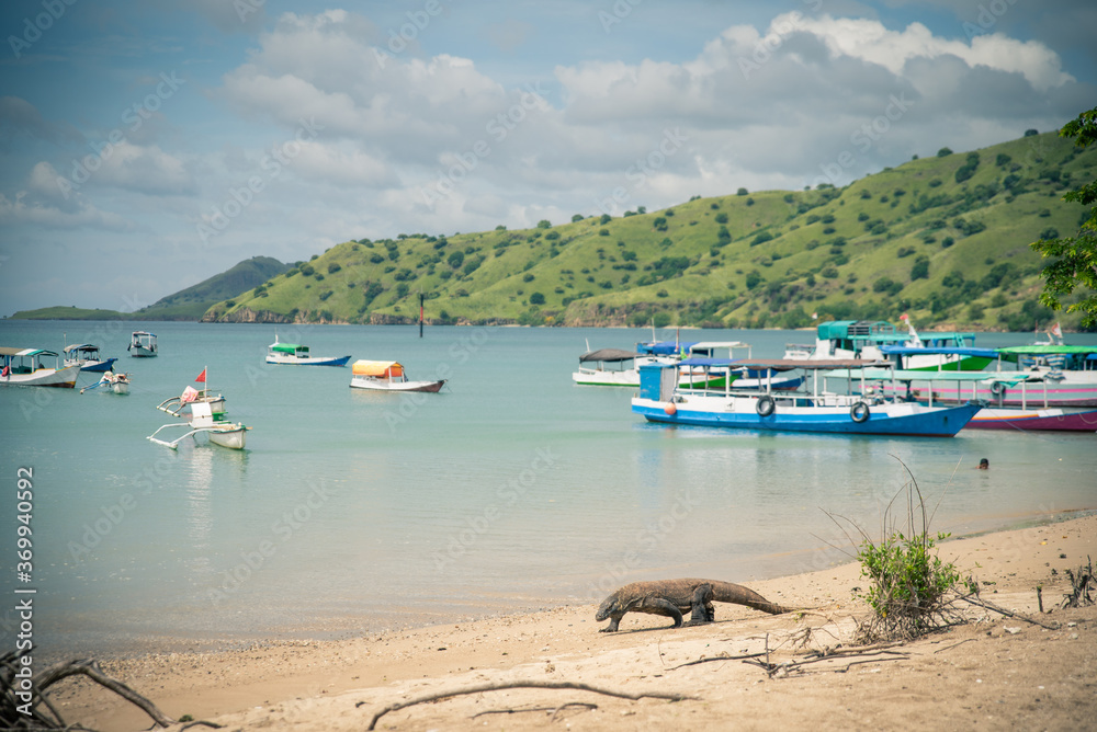 February 2019, Komodo Island, Slawy bay. Indonesia. the beautiful home ...