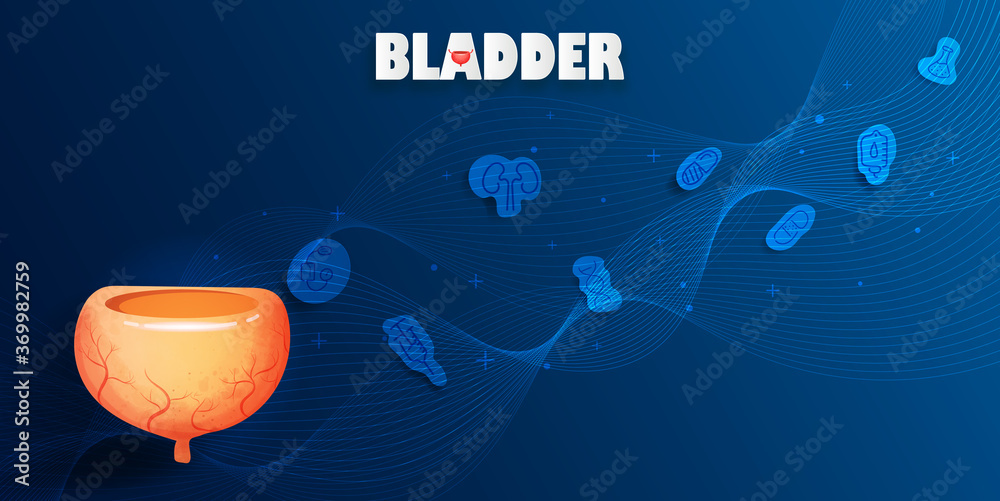 Human bladder and treatment urinary bladder abstract design.A concept ...