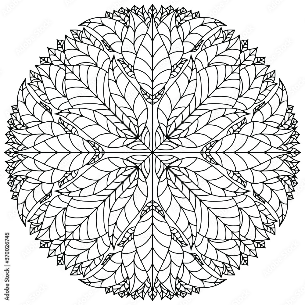 branches with leaves of different sizes forming a mandala drawn on a ...