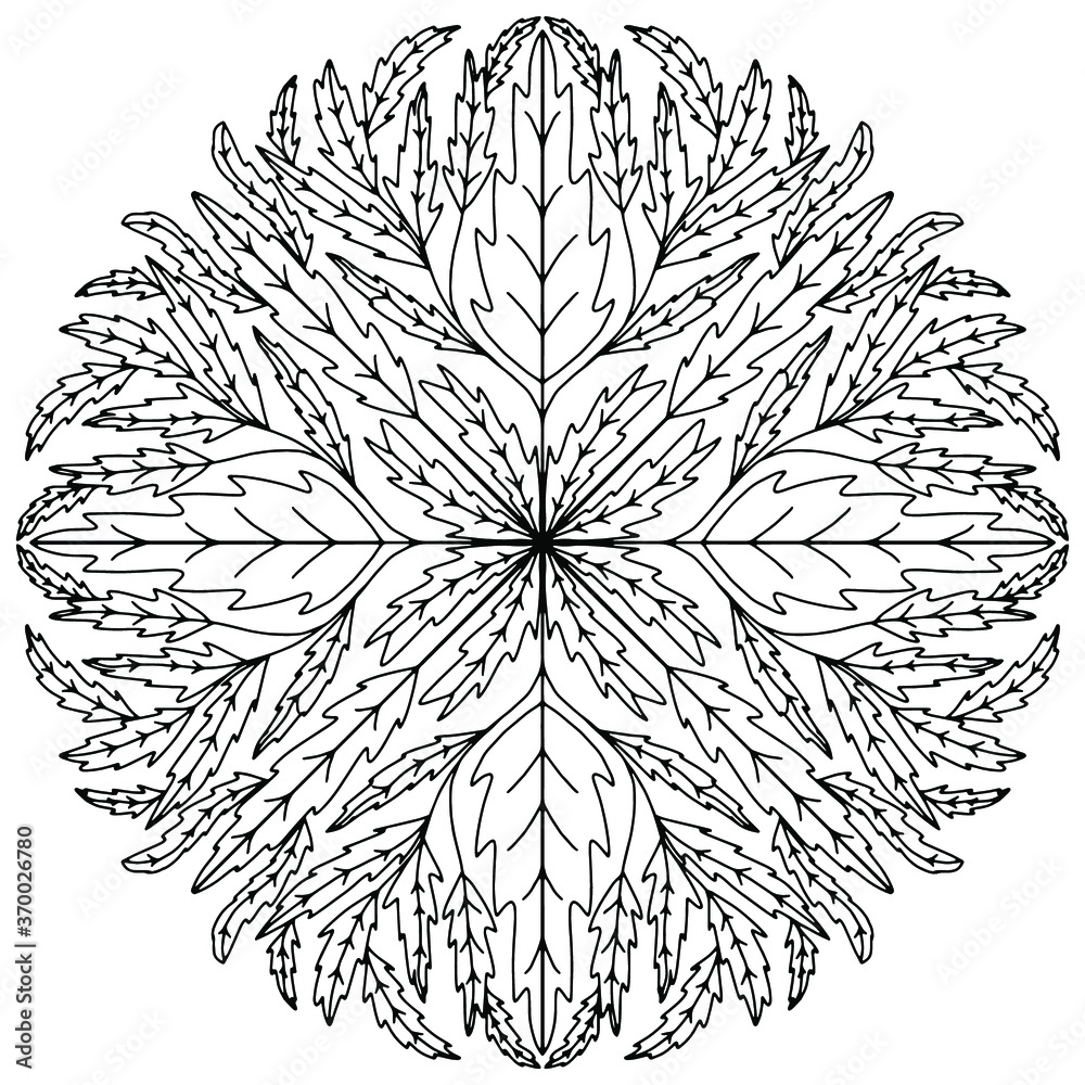 leaves of different shapes and sizes forming a mandala drawn on a white ...