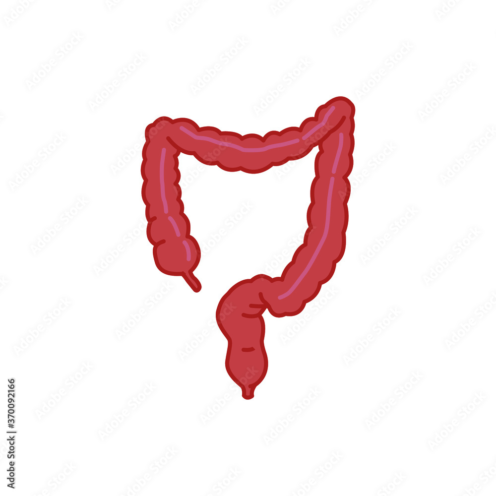 Large intestine icon, filled with outline. Intestines digestive system ...