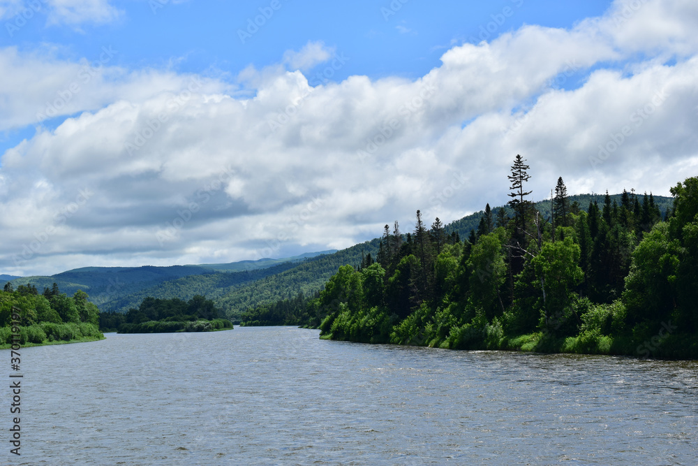 Foto de Taiga river among green mountains. Deciduous and coniferous ...