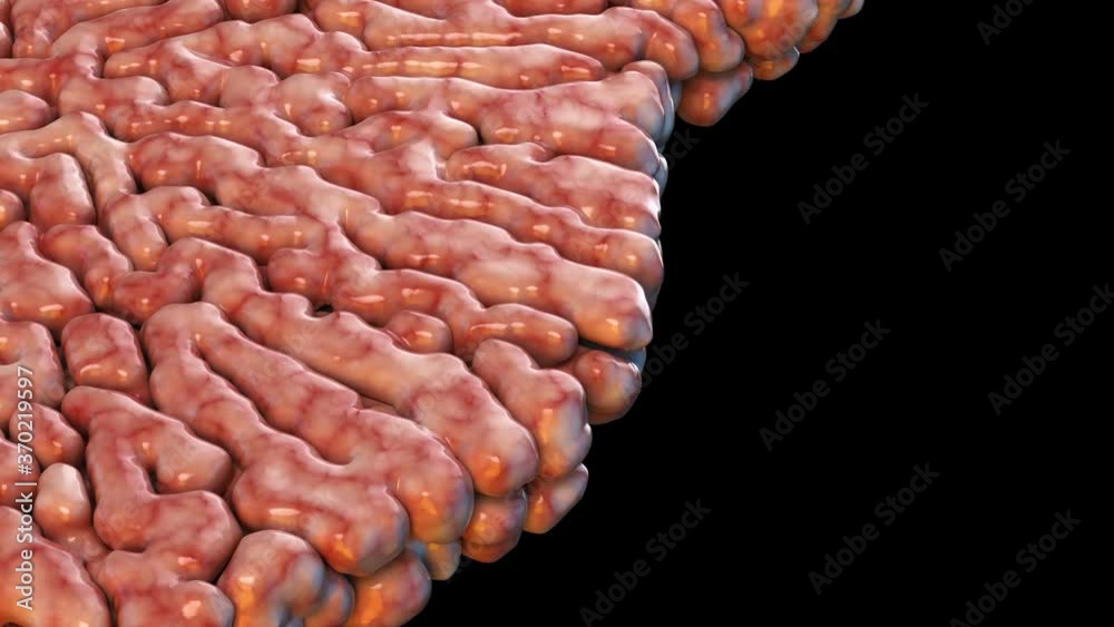 Moving organic brain texture. Abstract creeping organic mass in the ...