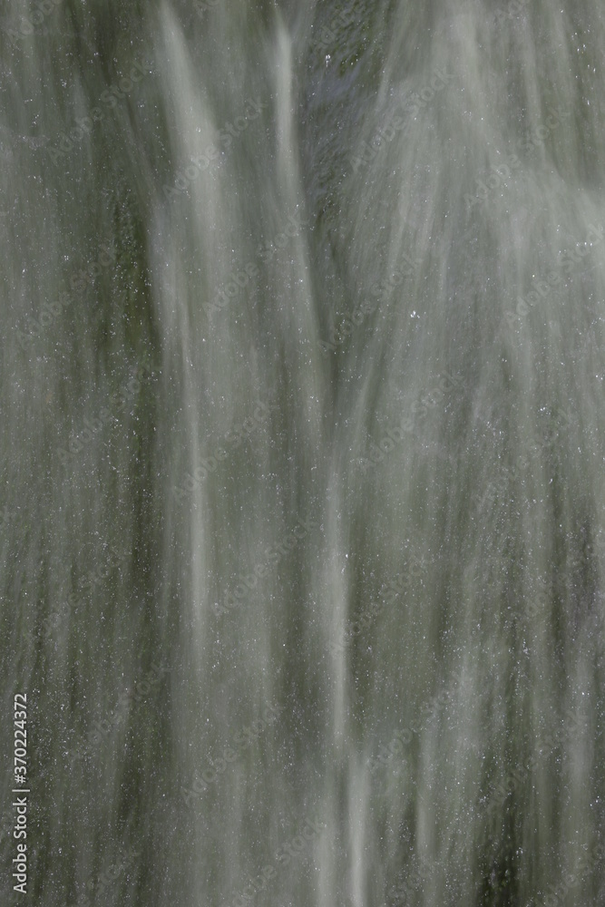 Fototapeta Las Falling Water Texture/Background | Fototapety