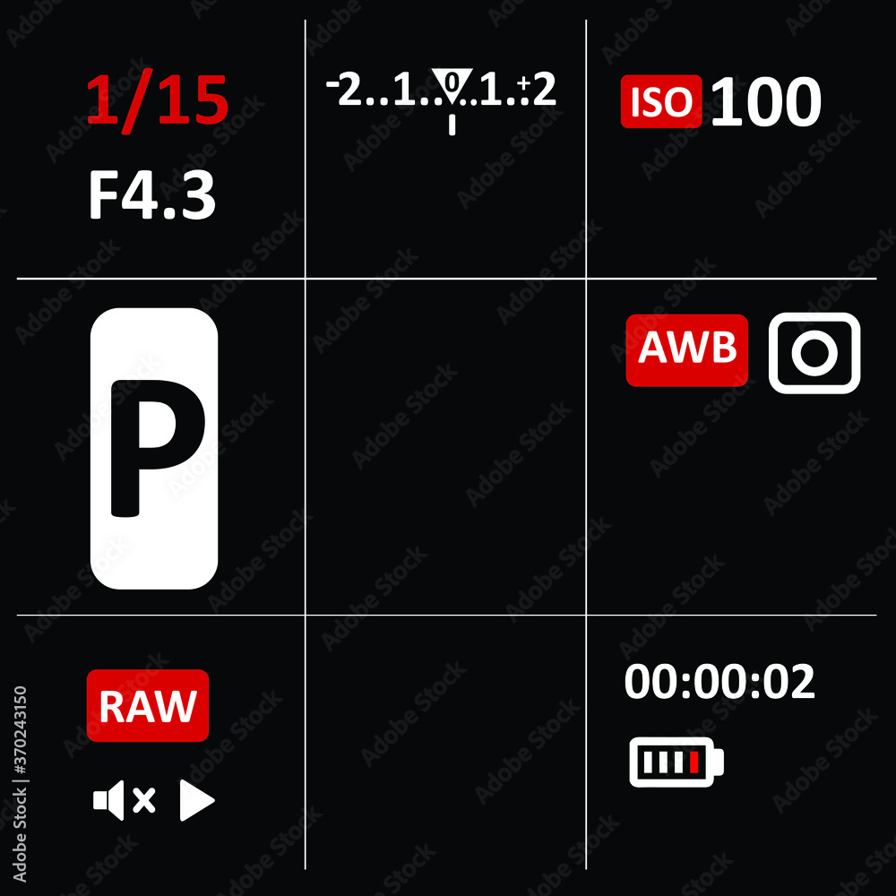 Camera viewfinder display. Exposure and composition focus, electronic ...