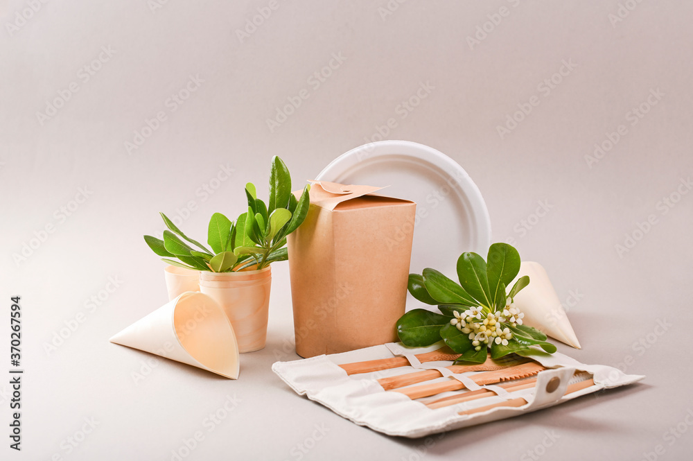 Paper dishes, craft design for fast food, catering, takeaway. The ...