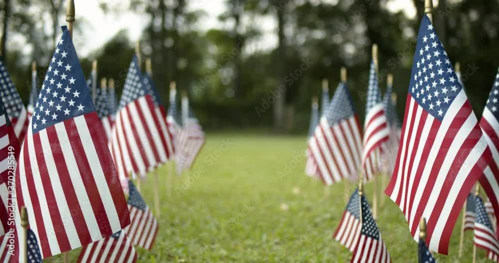 Rows of slow waving US American flags blowing in the wind. Patriotic ...
