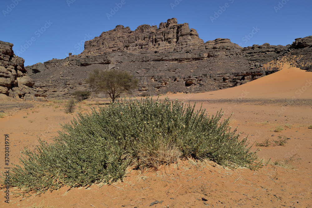 NATIONAL PARK TADRART IN ALGERIA. SAHARA DESERT LANDSCAPES WITH SAND ...