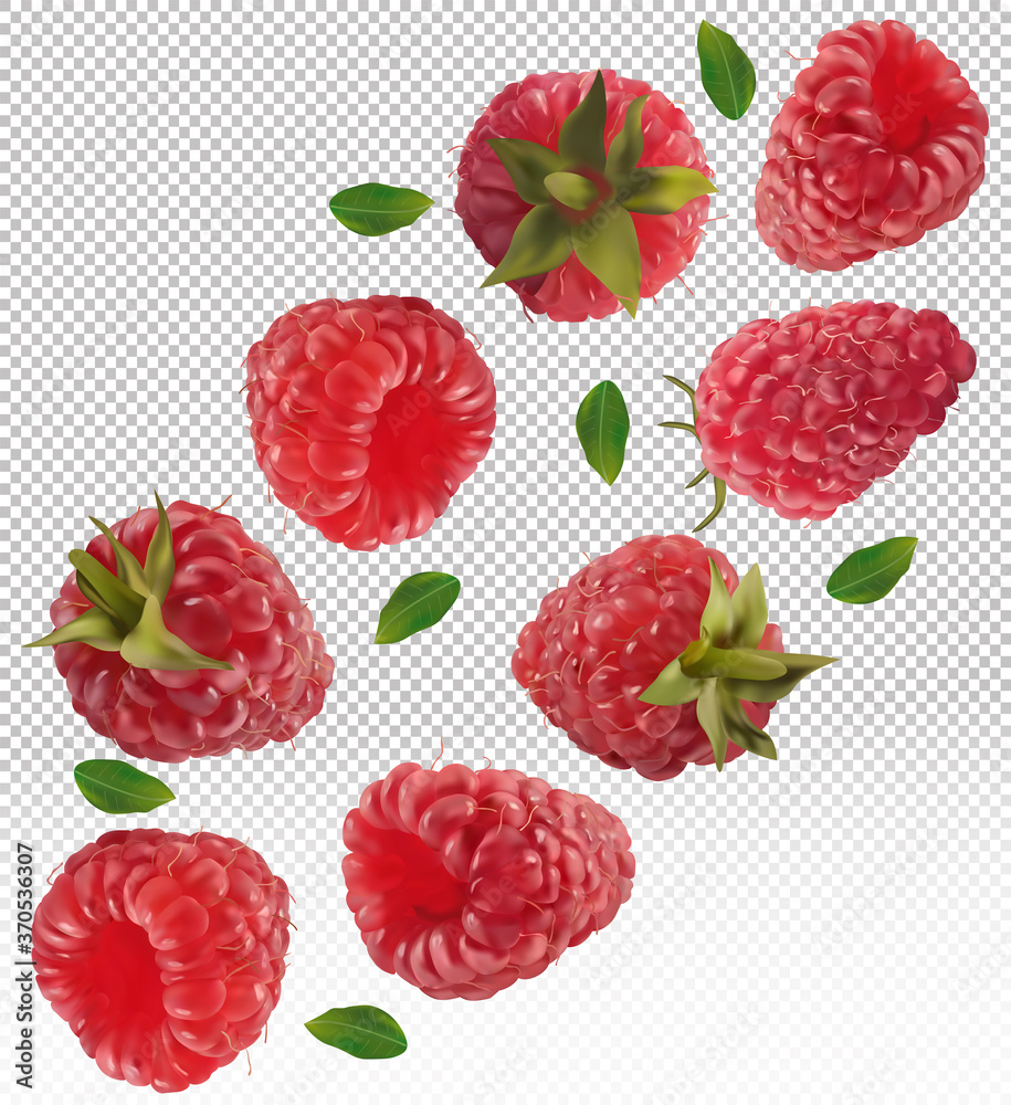 Raspberry falling from different angles. Flying raspberry with green ...