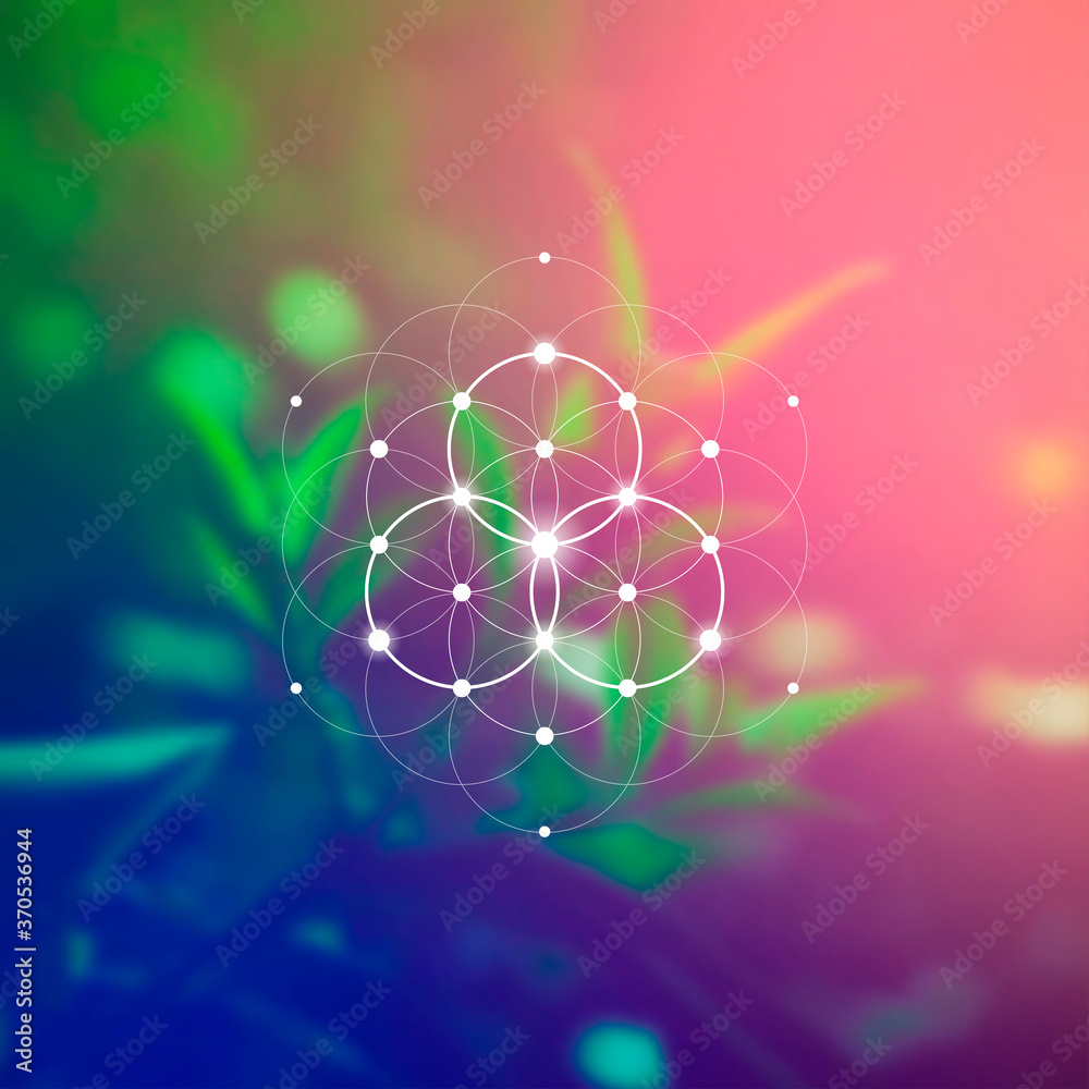 Flower of life sacred geometry illustration with intelocking circles ...
