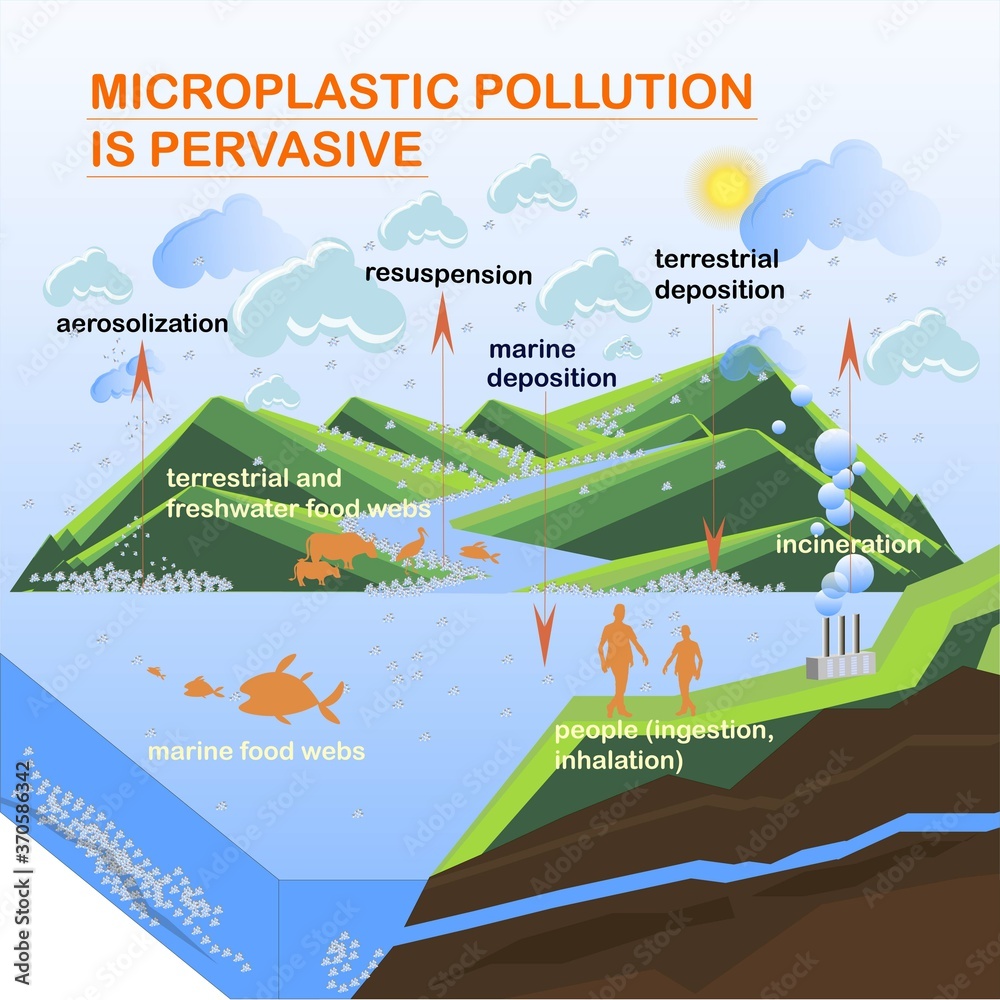 Microplastic pollution is pervasive banner, flats design element vector ...