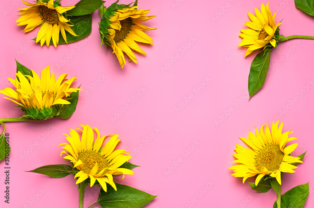 Pink Sunflower Wallpaper Hd - Infoupdate.org