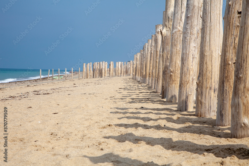 digue de piquets de ré-ensablement sur la plage foto de Stock | Adobe Stock