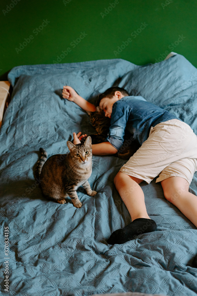 Boy in casual wearing hugging adorable gray cat while sleeping together ...