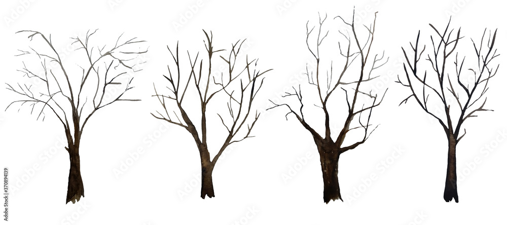 Brown Tree No Leaves