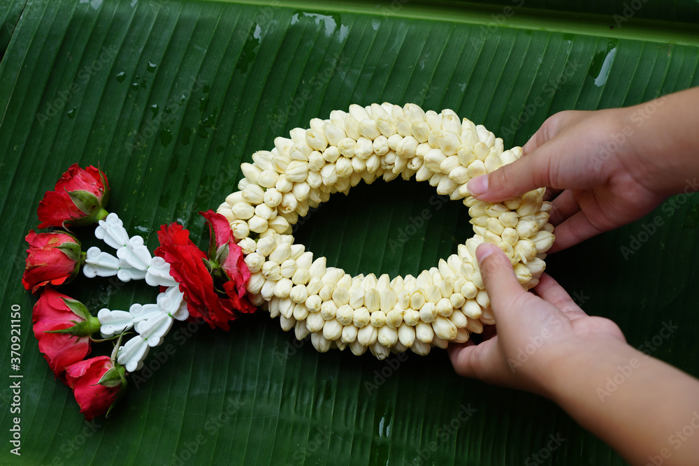 Hands holding a garland made of jasmine and roses on banana green ...