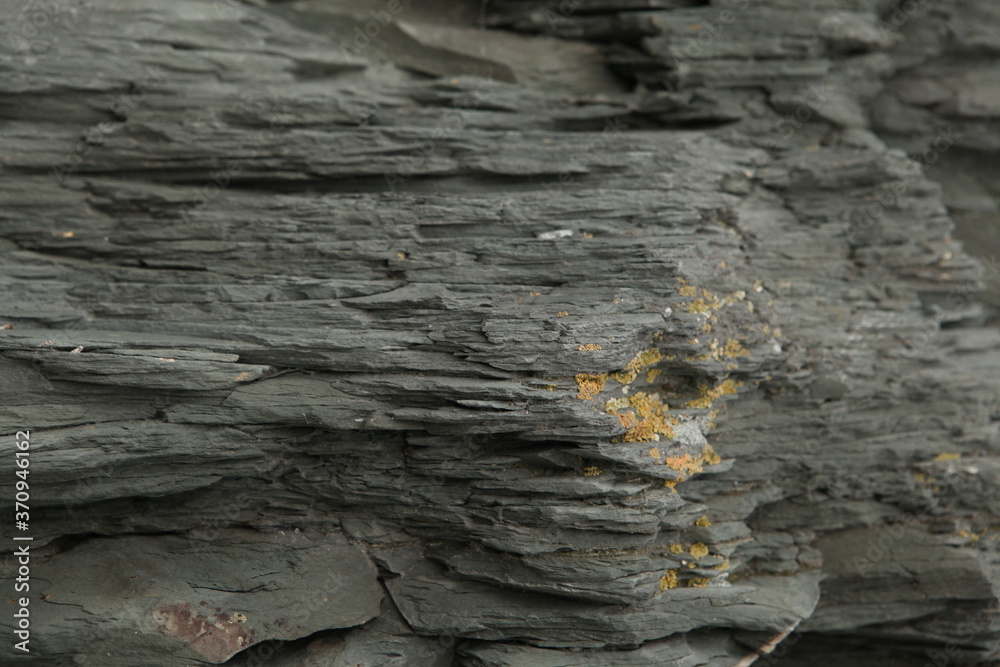 Texture of grey rock with moss in Kemerovo oblast, Siberia, Russia ...