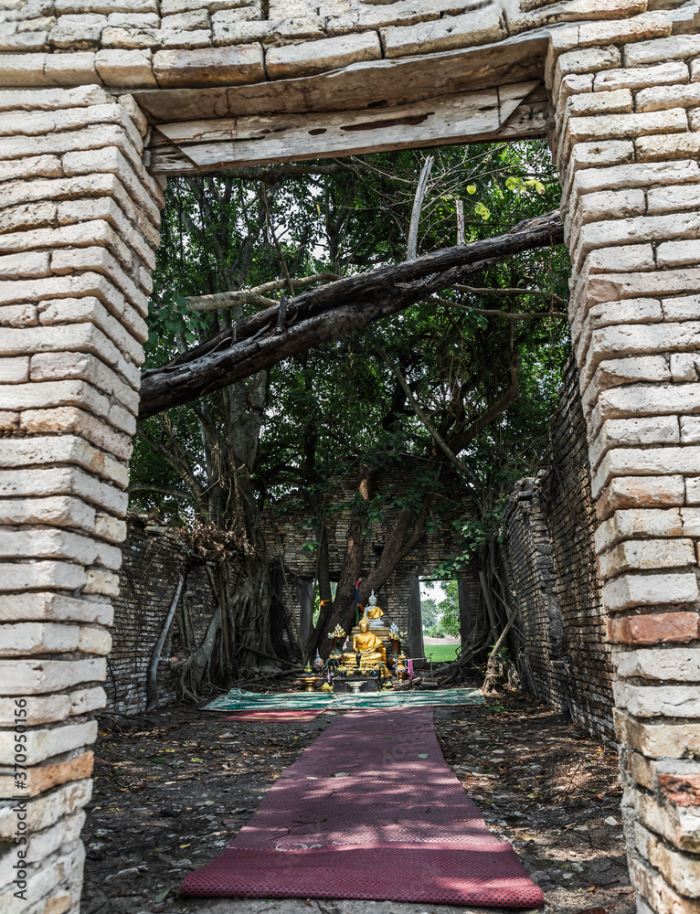 Many big tree roots covering The ancient church without roof inside ...