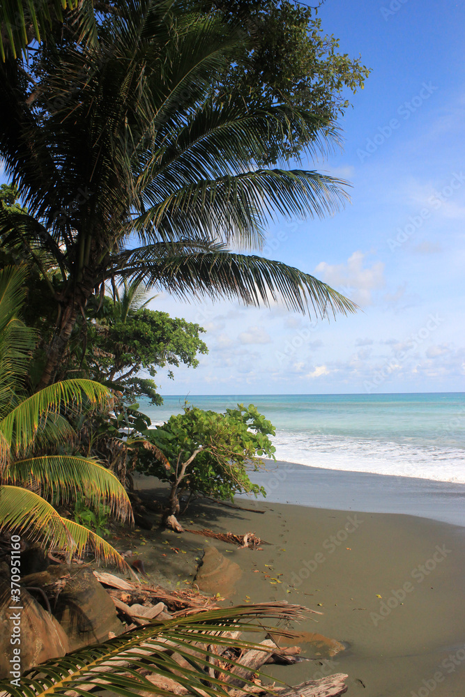 Tropical beach view from the jungle with palm trees, lianes and waves ...