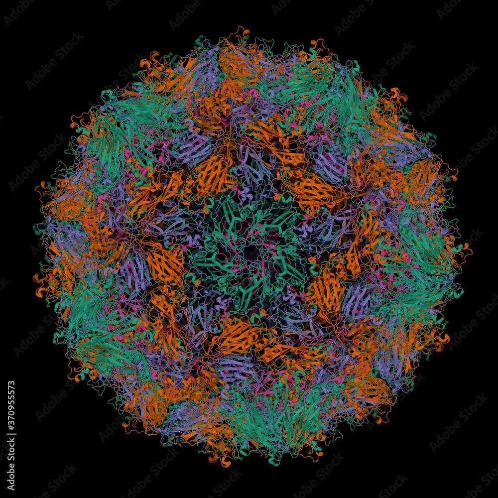 High Resolution Crystal Structure Of Coxsackievirus A24v 3d Cartoon Model Black Background