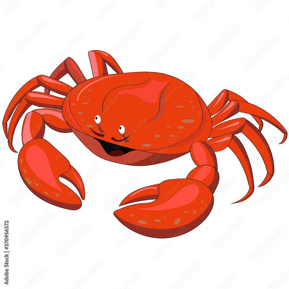 Isolated crab cartoon art character. Vector illustration on white ...