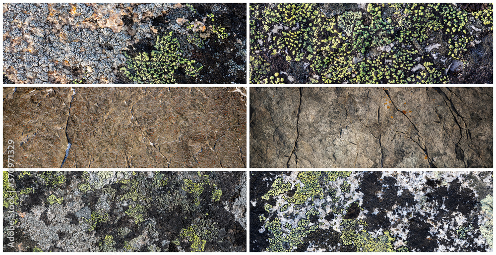 Set of natural textures. Stones covered with lichen. Collection of ...