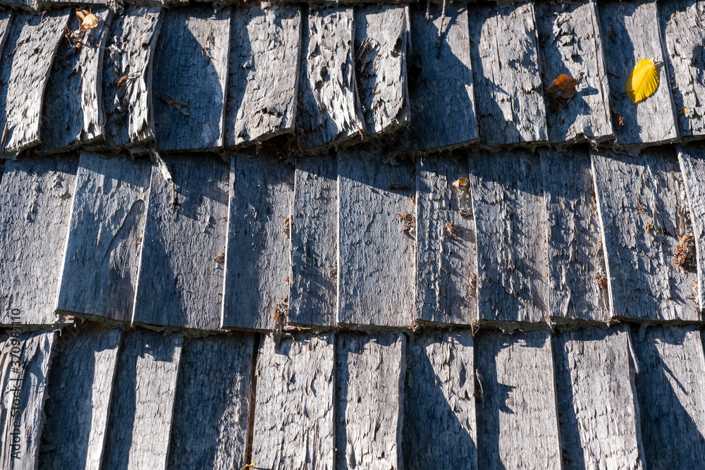 wooden shingle roof on which fell a few leaves of trees that are ...