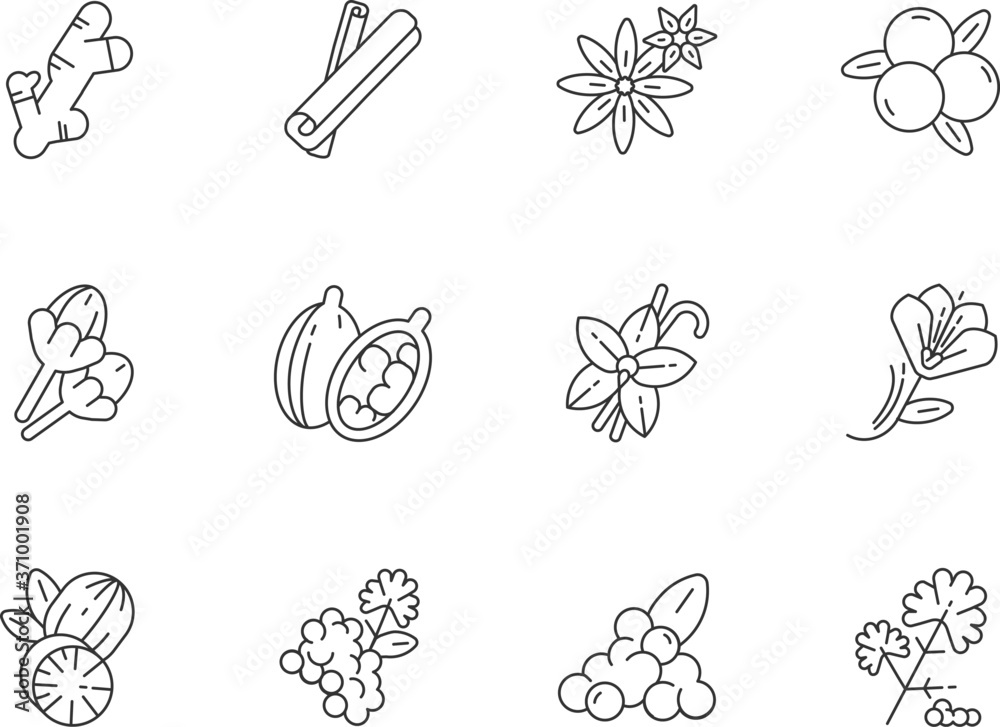 Indian spices linear icons set. Aromatic flavoring. Cinnamon and star ...