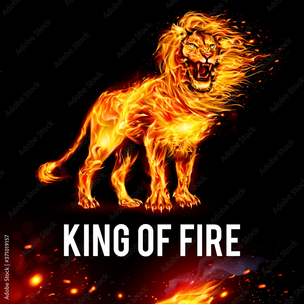 Aggressive Lion in Flames. Concept Image with Realistic Fire Flames ...