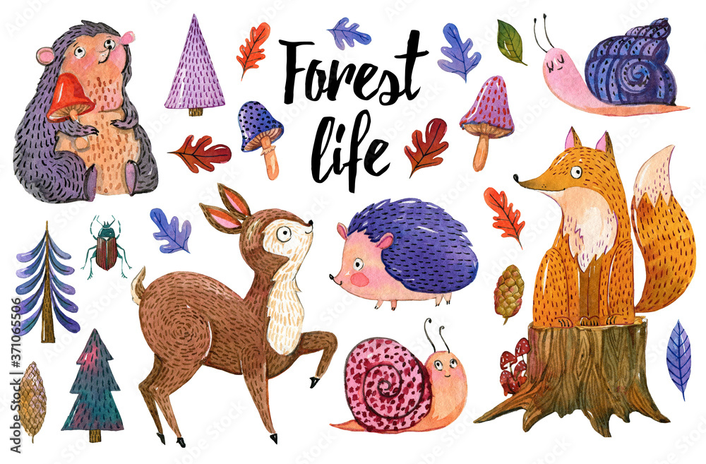 Watercolor set of forest animals and plants in a cartoon style. Hand ...