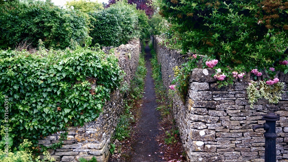 path, garden, nature, green, tree, forest, park, landscape, plant ...