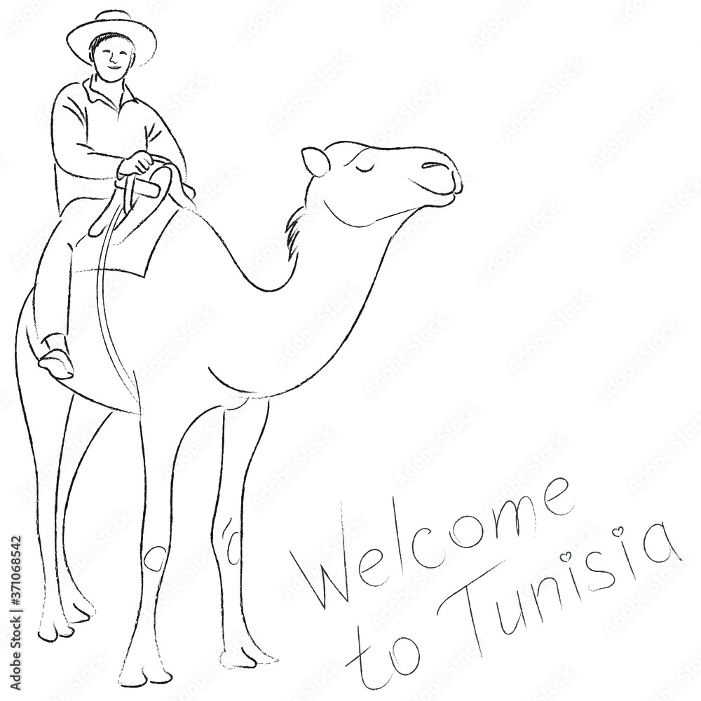 Sketch man on a camel, camel riding, black outline drawing Stock Vector ...