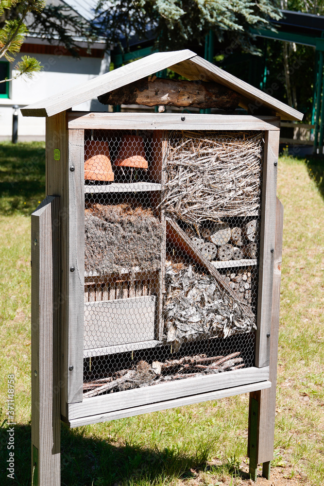 insects bug hotel like wood insect house ladybird and wooden bee home ...