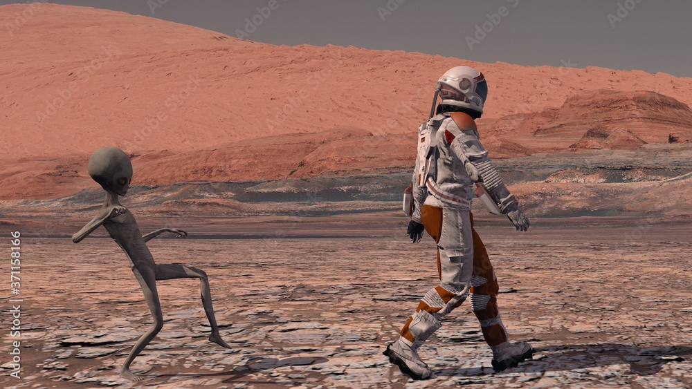 Mars Astronaut Application