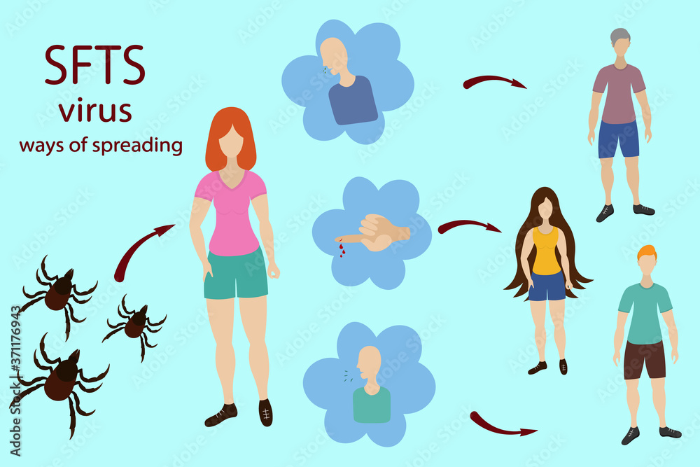 SFTS virus and humanity. Transmission of the SFTS virus from a person ...