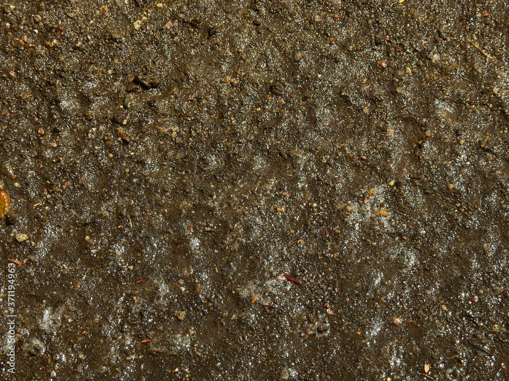 wet dirt ground after rain, soil texture Stock Photo | Adobe Stock