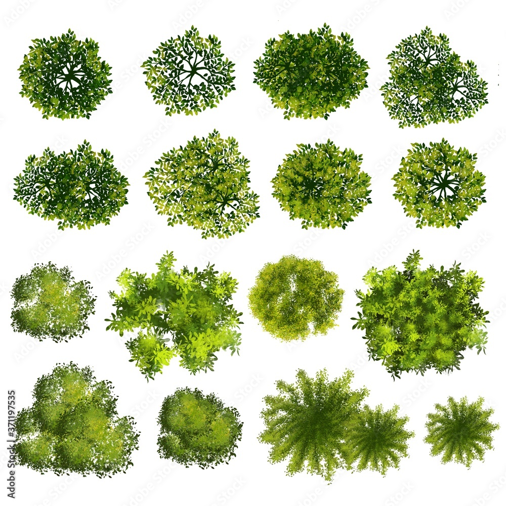 set of watercolor tree top view for landscape plan and architecture ...