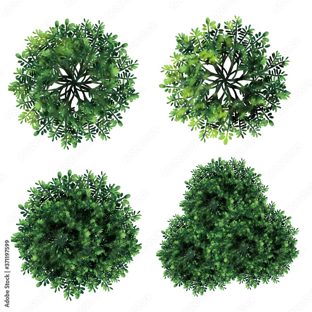 set of watercolor tree top view for landscape plan and architecture ...