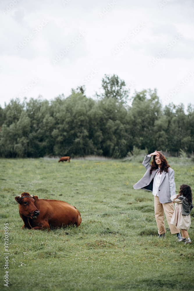 Mother and daughter walk in a field with cows. The family is having fun ...