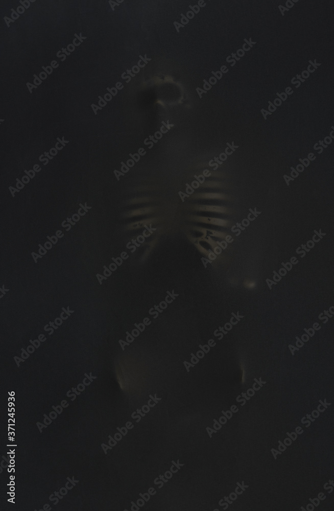 Skeleton's body hidden in black background Stock Photo | Adobe Stock