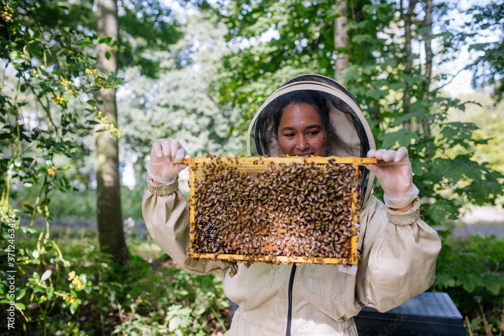 Female beekeeper checking her bee hive for bees and honey. Stock Photo ...