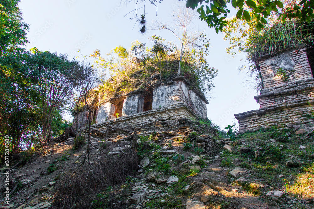 Plan de Ayutla Zona Arqueológica, Chiapas, México foto de Stock | Adobe ...