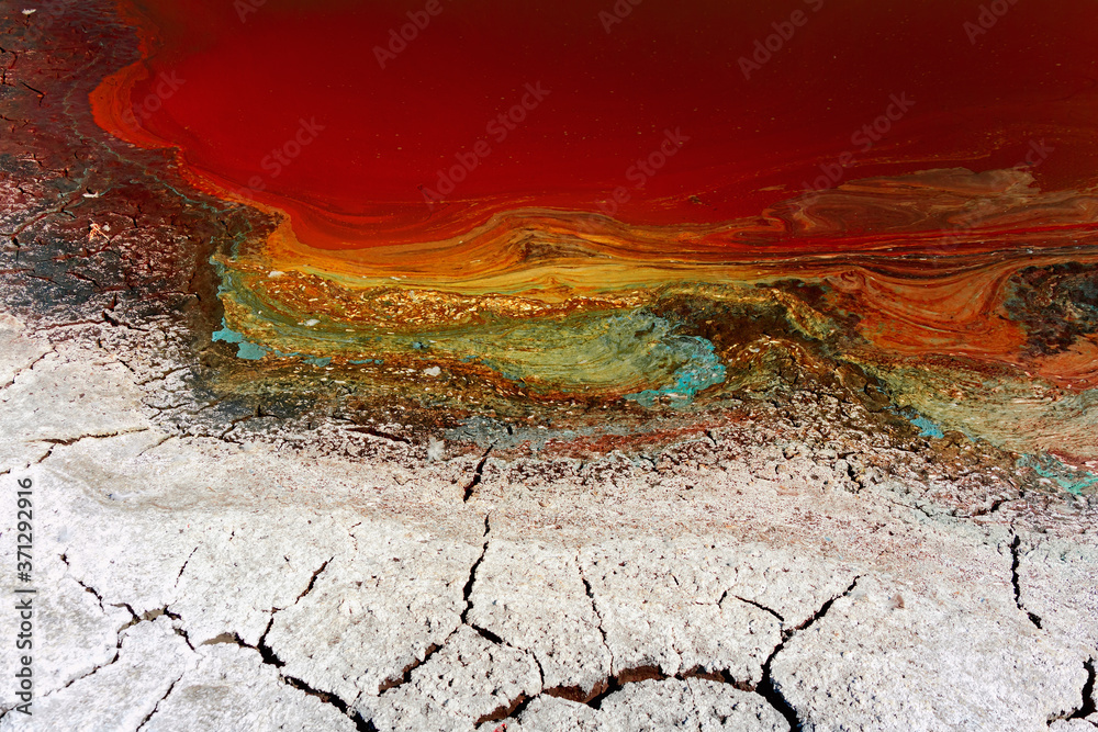 The drought, the dried-up pond, the cracked and salted earth, the ...