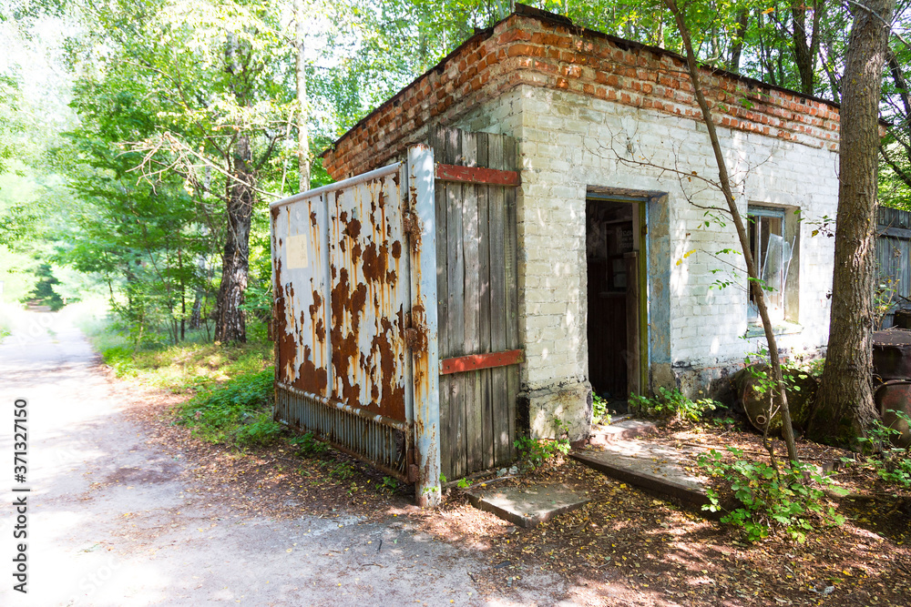 Foto de Abandoned city Chernobyl radioactive contamination. Overgrown ...