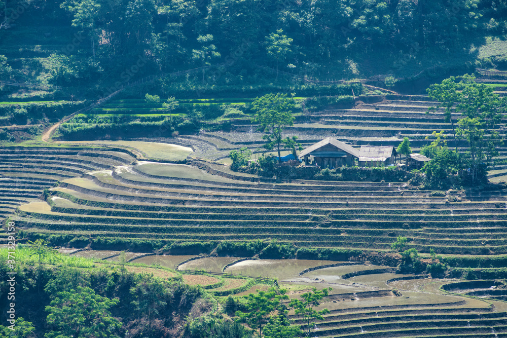Beauty of rice terraces in Muong Hum, Lao Cai, Vietnam Stock Photo ...