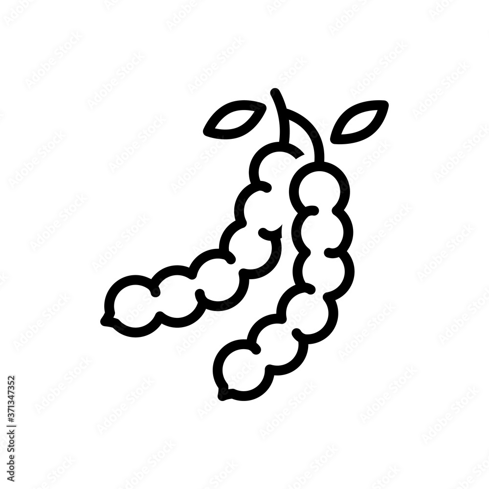 Tamarind Line Drawing