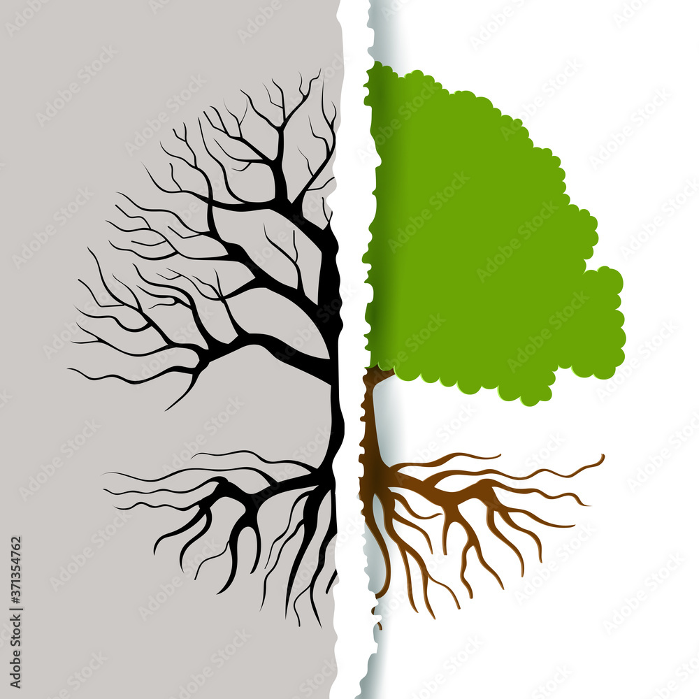 Half Dead Half Alive Drawing